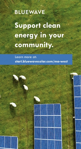 Suport Clean Energy, BlueWave Solar, Boston, MA